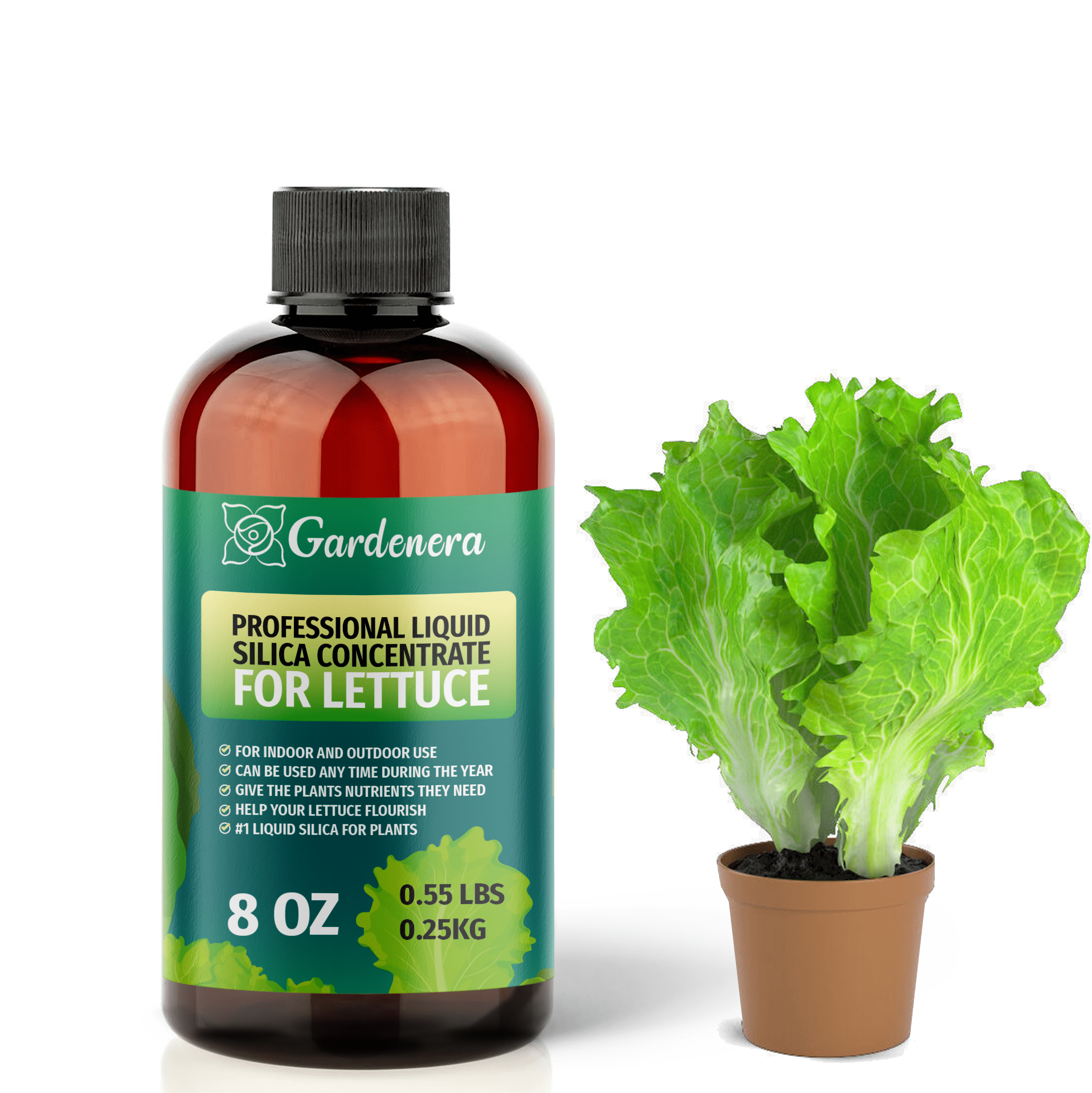 𝐏𝐑𝐄𝐌𝐈𝐔𝐌 Liquid Silica Plant Supplement - 8oz (250mL) - LETTUCE Plants ...
