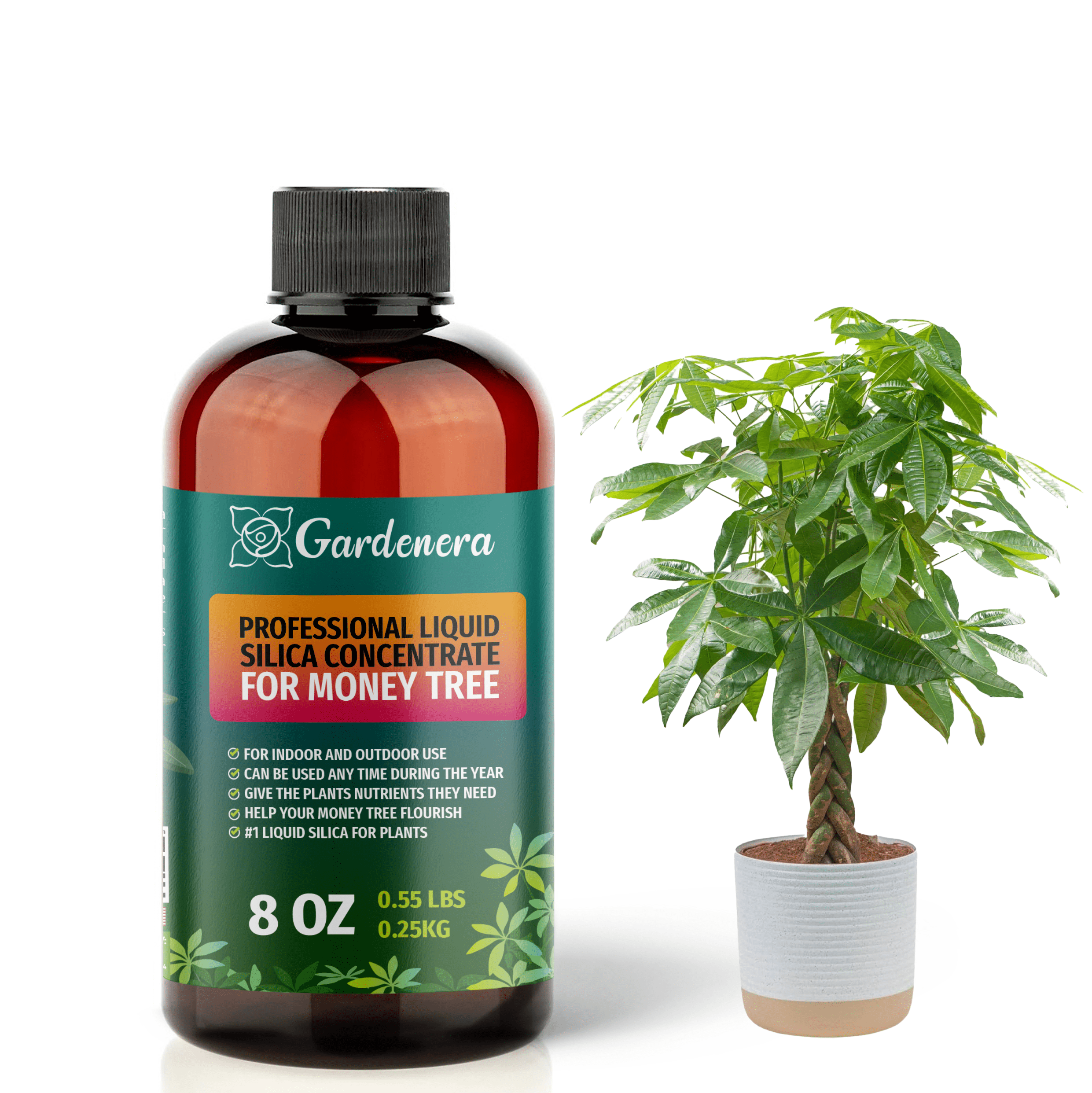 𝐏𝐑𝐄𝐌𝐈𝐔𝐌 Liquid Silica Plant Supplement - 8oz (250mL) - MONEY TREE ...
