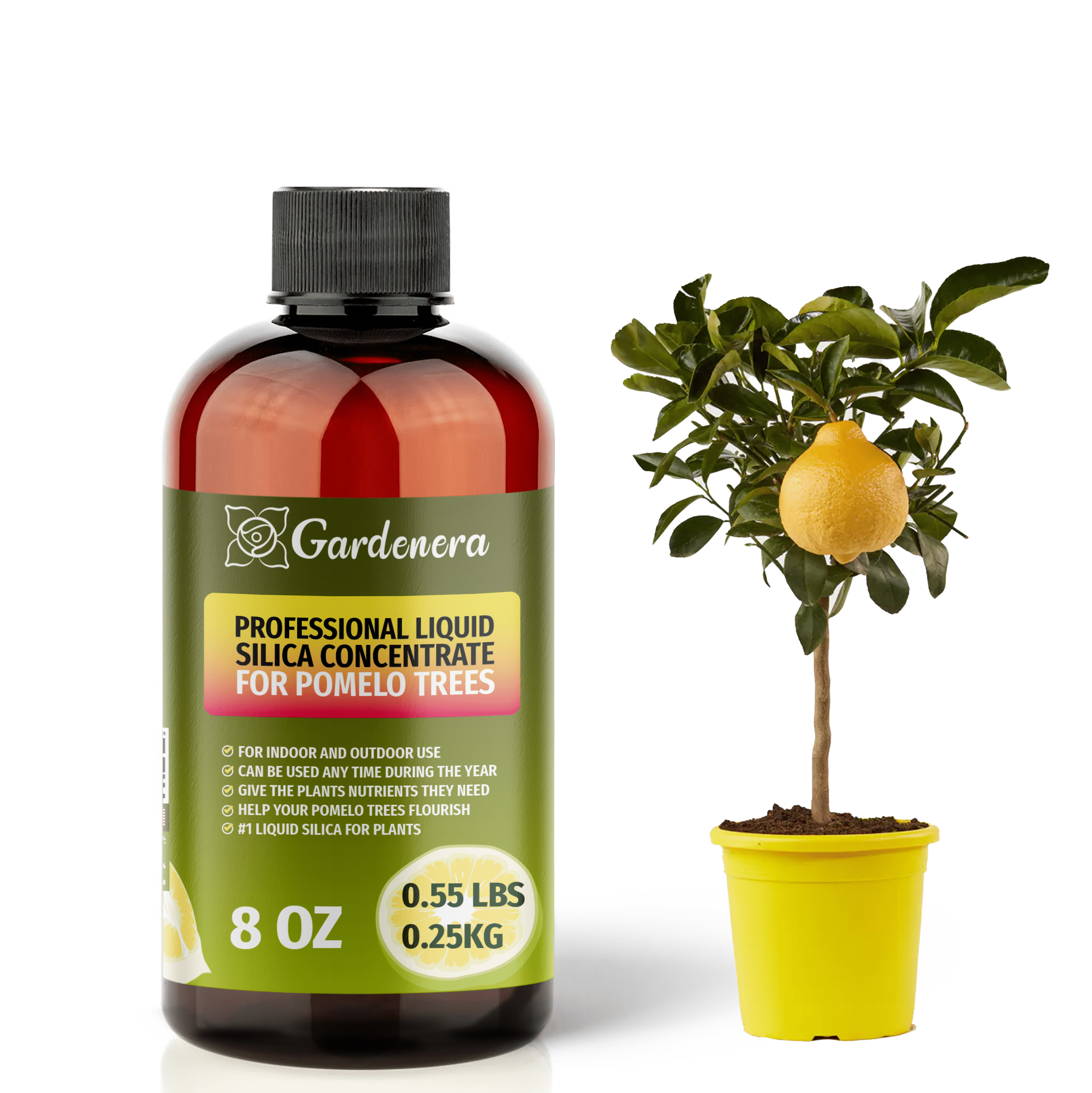 𝐏𝐑𝐄𝐌𝐈𝐔𝐌 Liquid Silica Plant Supplement - 8oz (250mL) - POMELO TREES ...