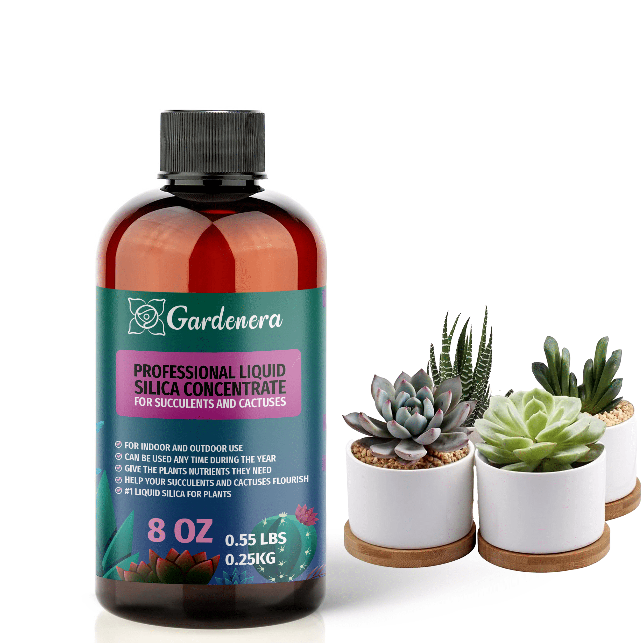 ⭐ 𝐁𝐄𝐒𝐓𝐒𝐄𝐋𝐋𝐄𝐑 Liquid Silica Plant Supplement - 8oz (250mL) - SUCCULENTS ...