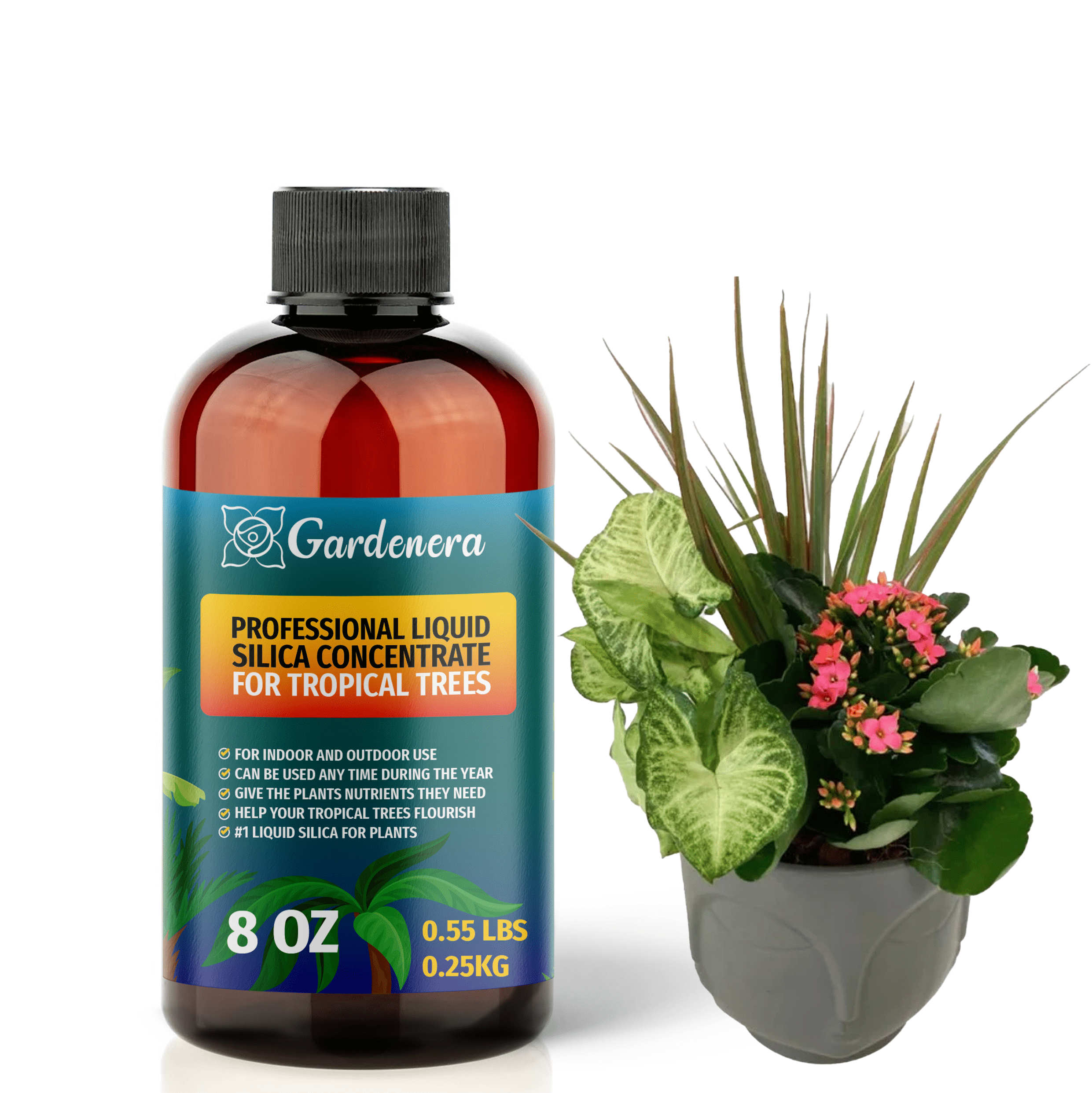 𝐏𝐑𝐄𝐌𝐈𝐔𝐌 Liquid Silica Plant Supplement - 8oz (250mL) - TROPICAL PLANTS ...