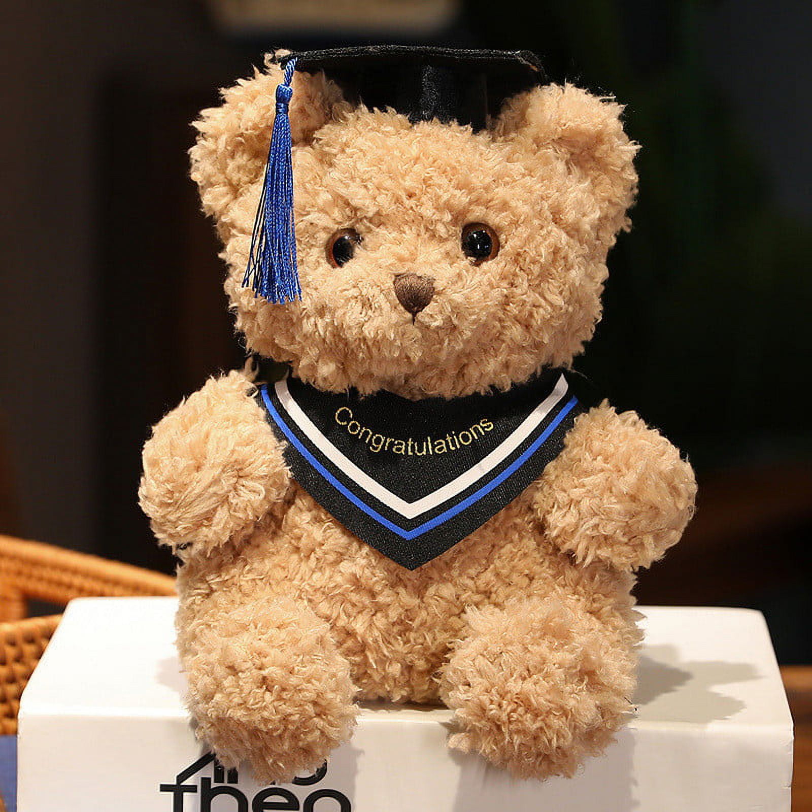 Liquidation & Promo, Graduation Bear, 9-Inch Stuffed Doll, Diploma ...