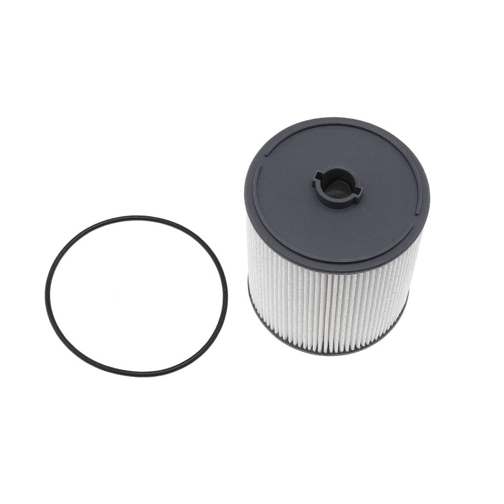 LisFaxbo 68436631AA Fuel Filter For 2019-2020 Ram 2500 3500 4500 5500 6 ...