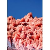 After Nature Ulrike Crespo Photography Prize 2025: Lisa Barnard ...