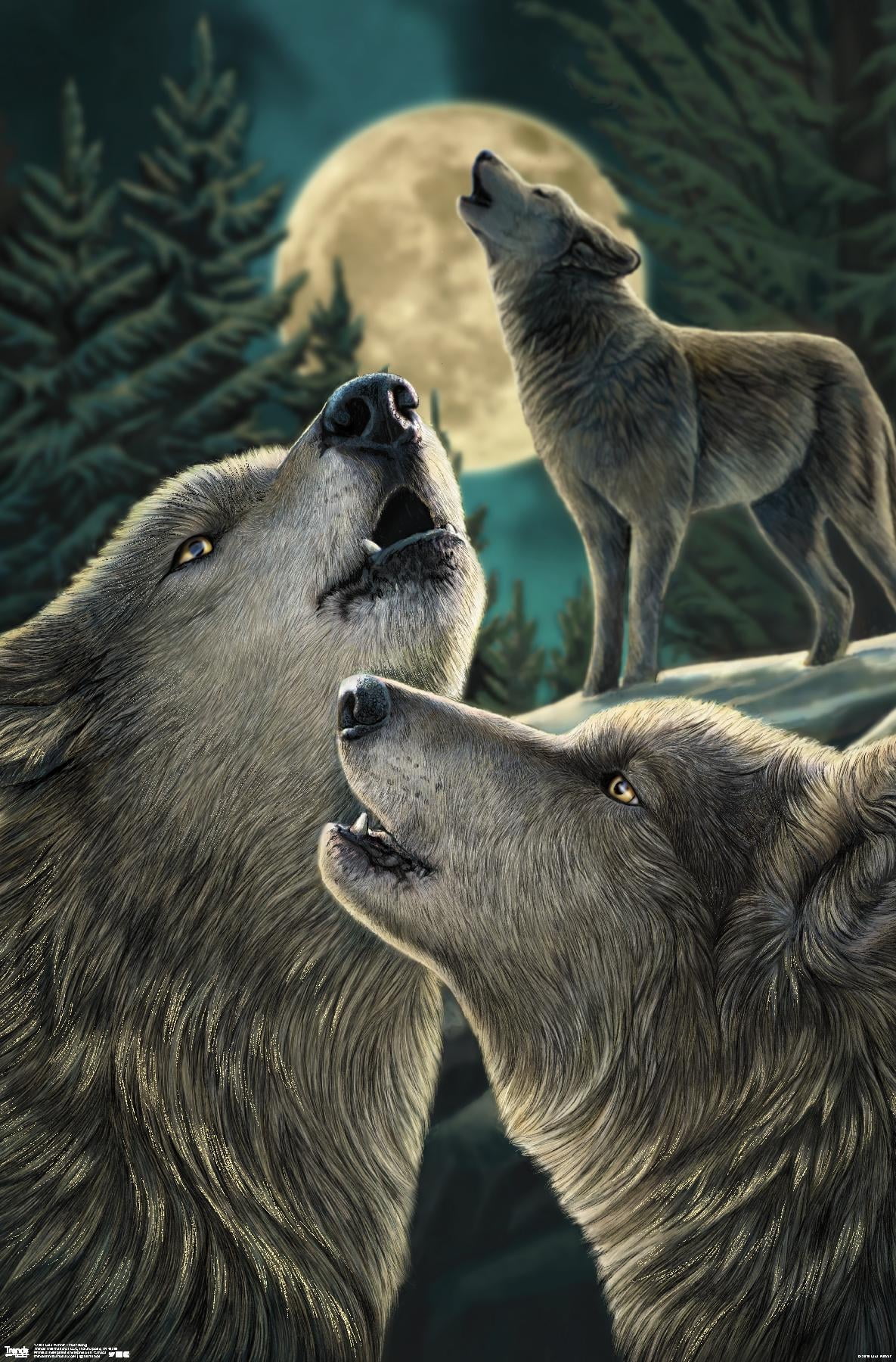 Lisa Parker - Wolf Song Wall Poster, 22.375" x 34" - Walmart.com