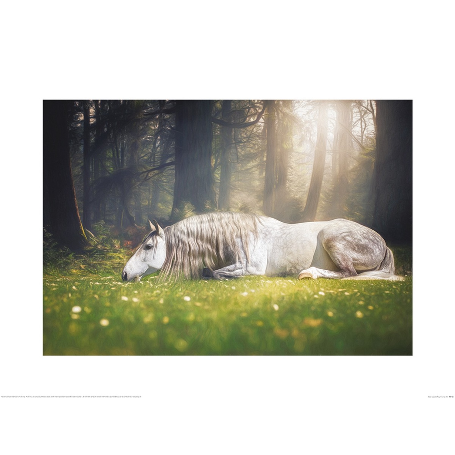 Lisa Saint Dream Impossible Things Poster - Walmart.com