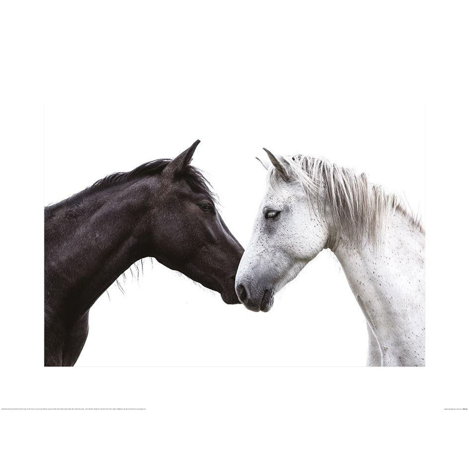 Lisa Saint Light To Your Dark Poster - Walmart.com