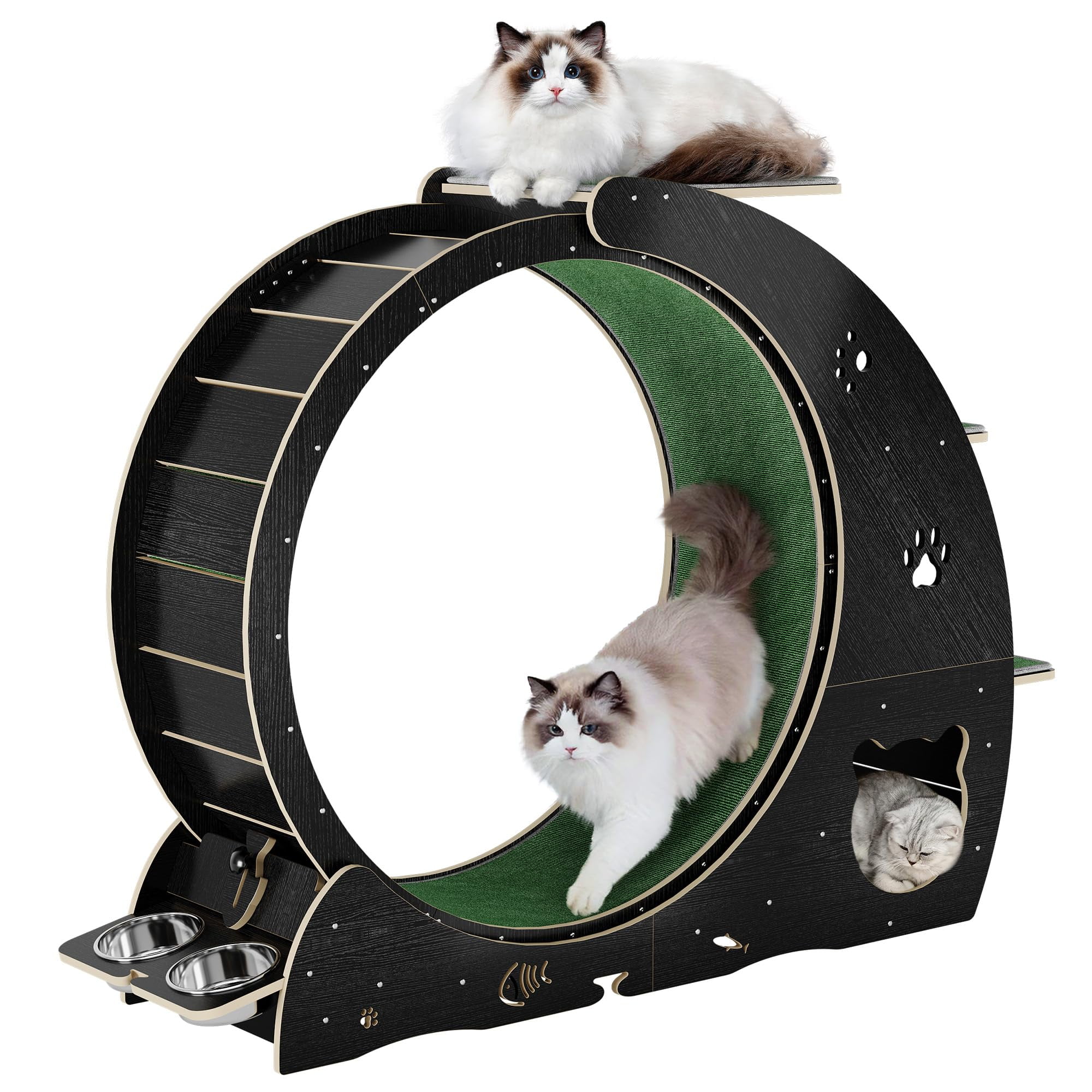 Litake 4-in-1 Cat Wheels for Indoor Cats, 40 Inch Large Cat Exercise ...