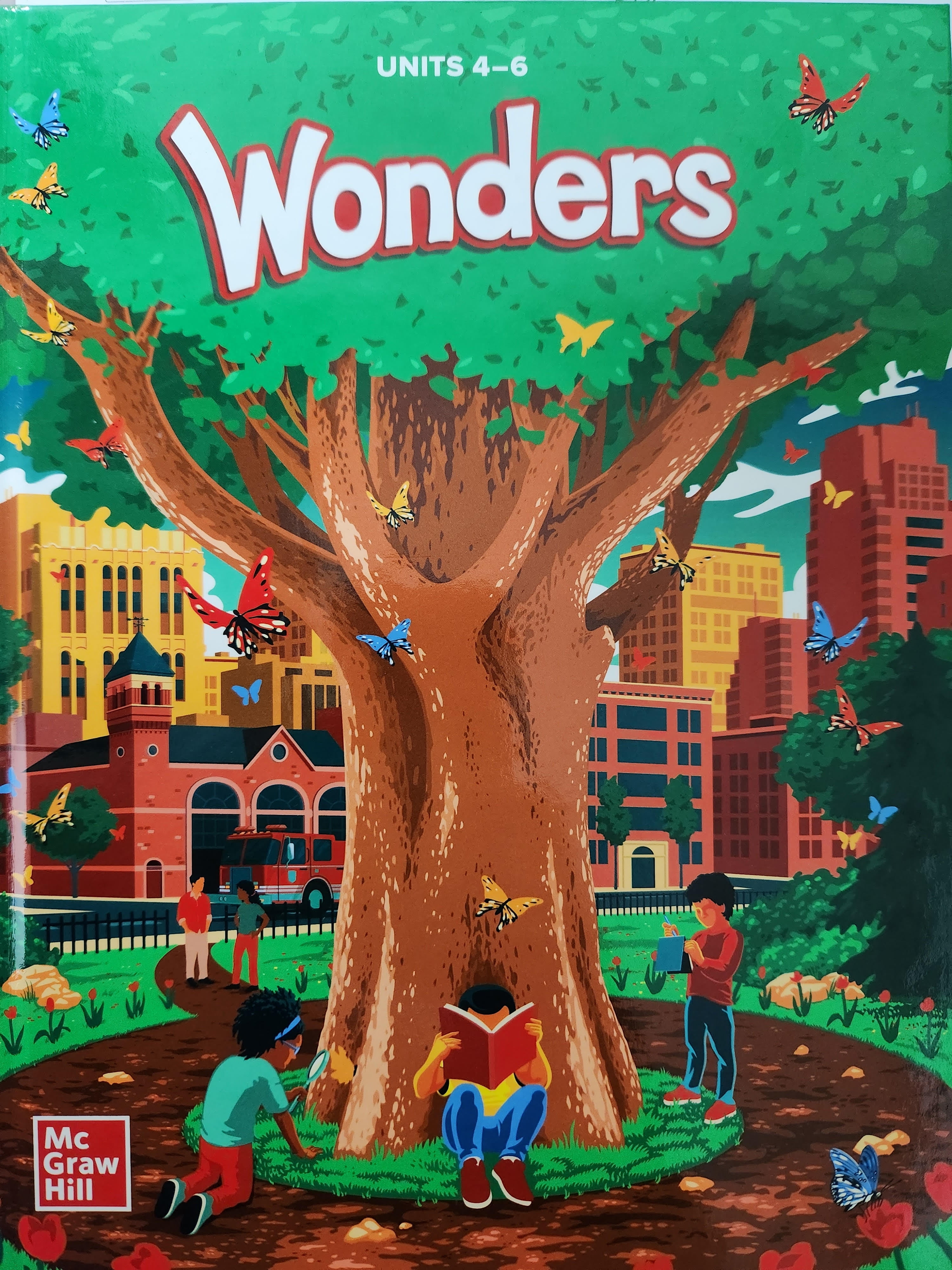 Literature Anthology - Grade 1 Unit 4-6 - Walmart.com