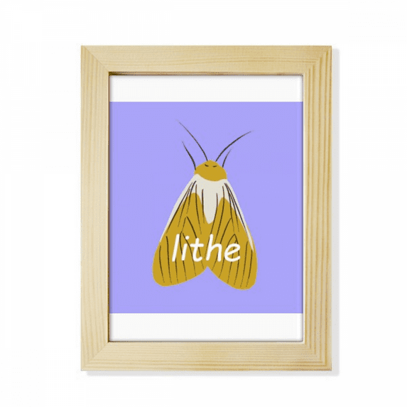 Lithe Moth Phengophil Winged Insect Desktop Adorn Photo Frame Display ...