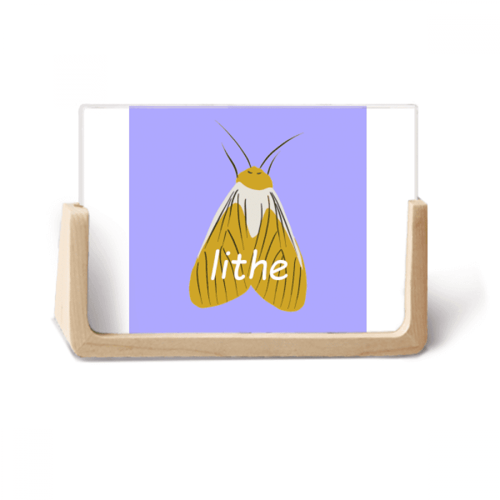 Lithe Moth Phengophil Winged Insect Photo Wooden Photo Frame Tabletop ...