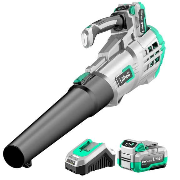 ZoomBroom Small Wireless Electric Air Blower, Lightweight ...