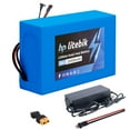 48V 20Ah Lithium Ebike Battery with Charger for 1200W Electric Bike ...