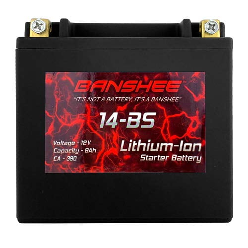 Lithium LiFePO4 14-BS Sealed Motorcycle Battery - Walmart.com