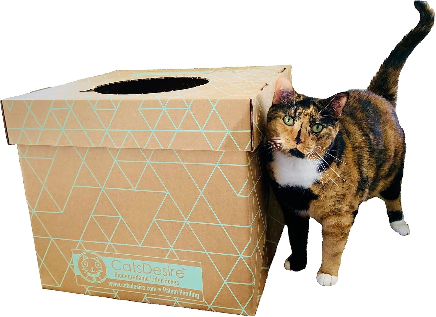 Litter Box - Disposable Litter Boxes for Cats Pack (4 Sets) w/Top/Low ...