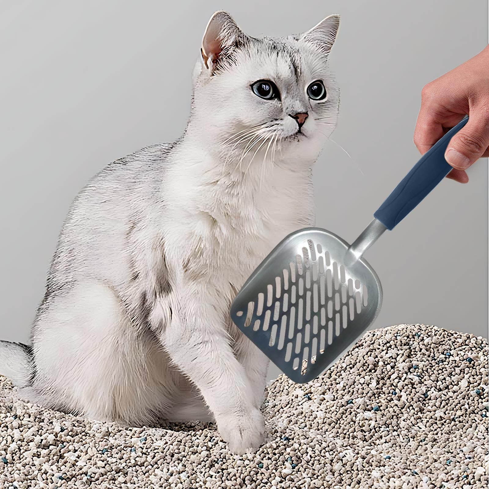 Litter Shovel, Stainless Steel Cat Litter Scoop, Fine Holes Design ...