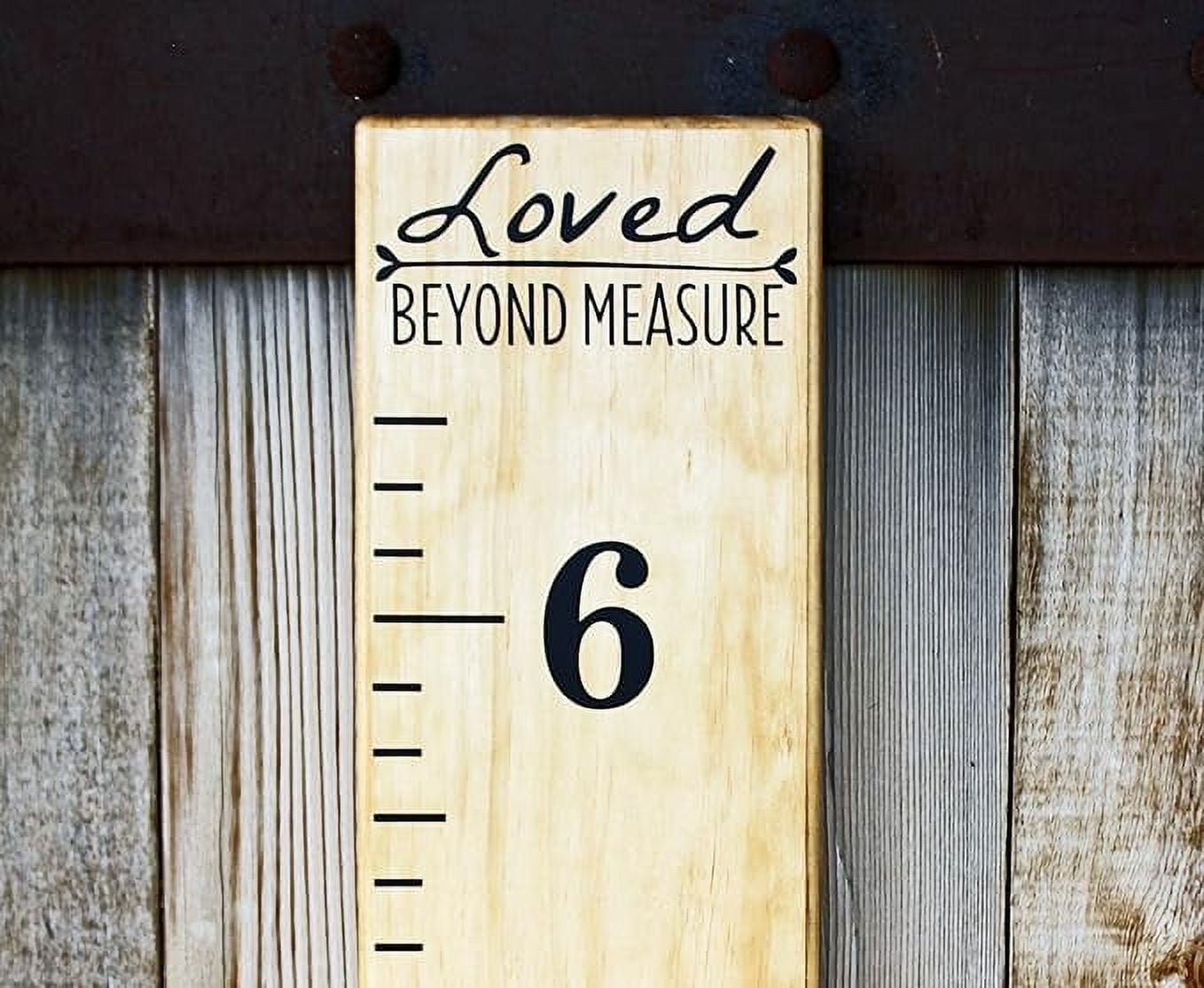 Little Acorns DIY Vinyl Growth Chart Ruler Decal Kit, Loved Beyond ...