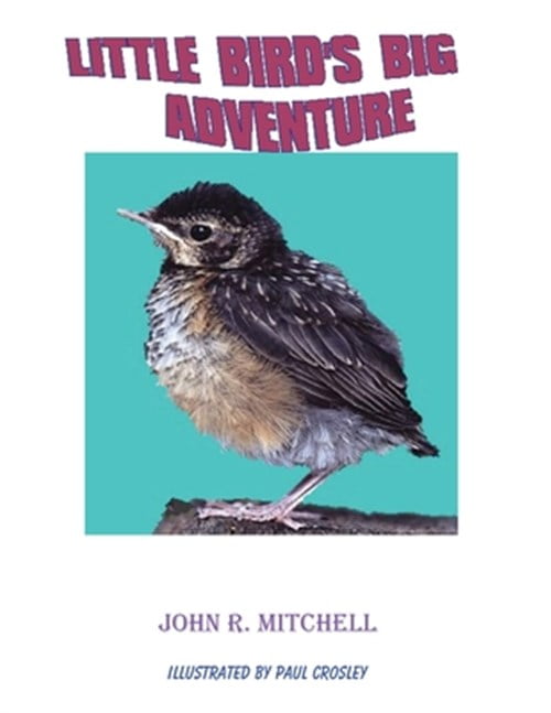 Little Bird's Big Adventure - Walmart.com