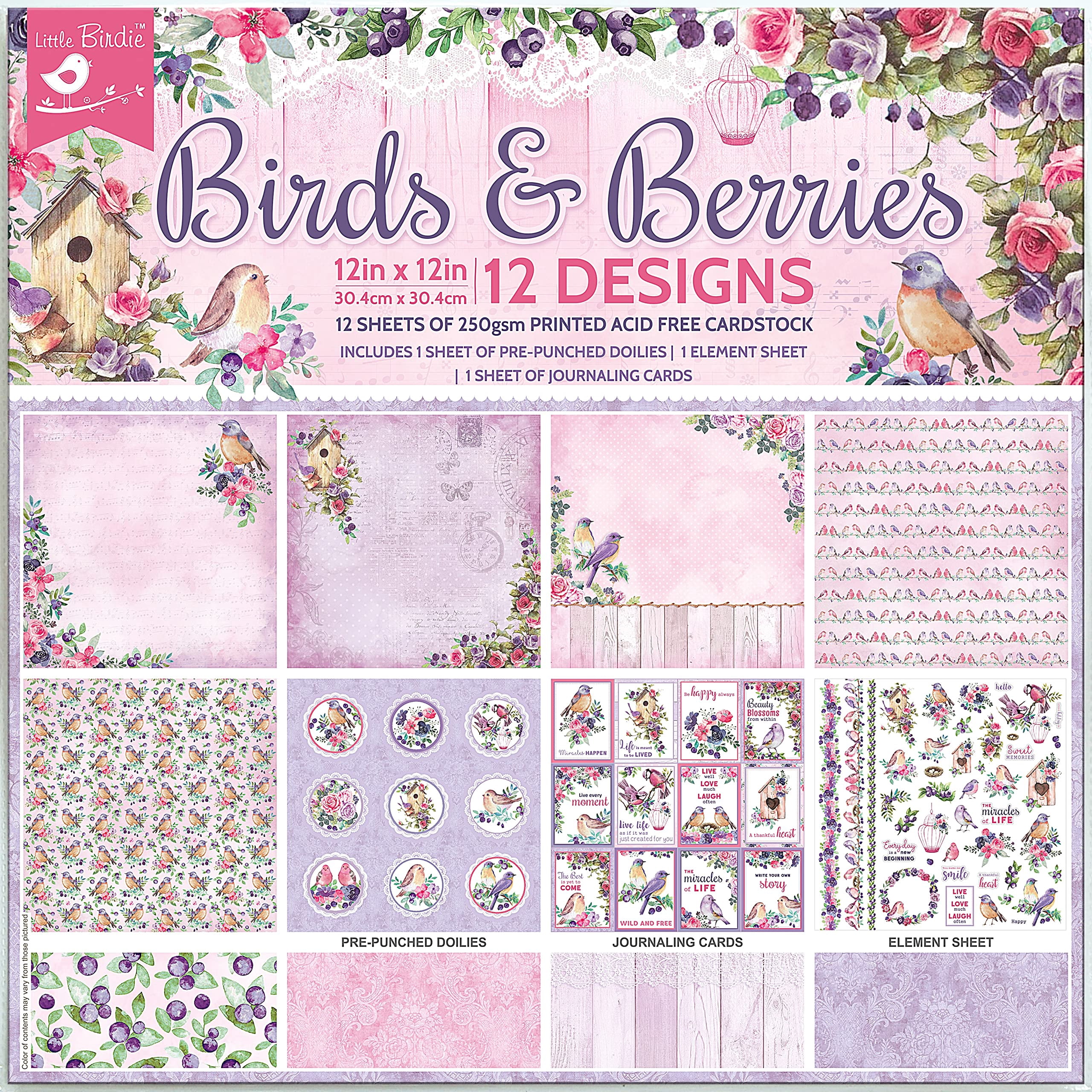 Little Birdie Cardstock Pack OIF8 12"X12" 12/Pkg-Birds and Berries ...