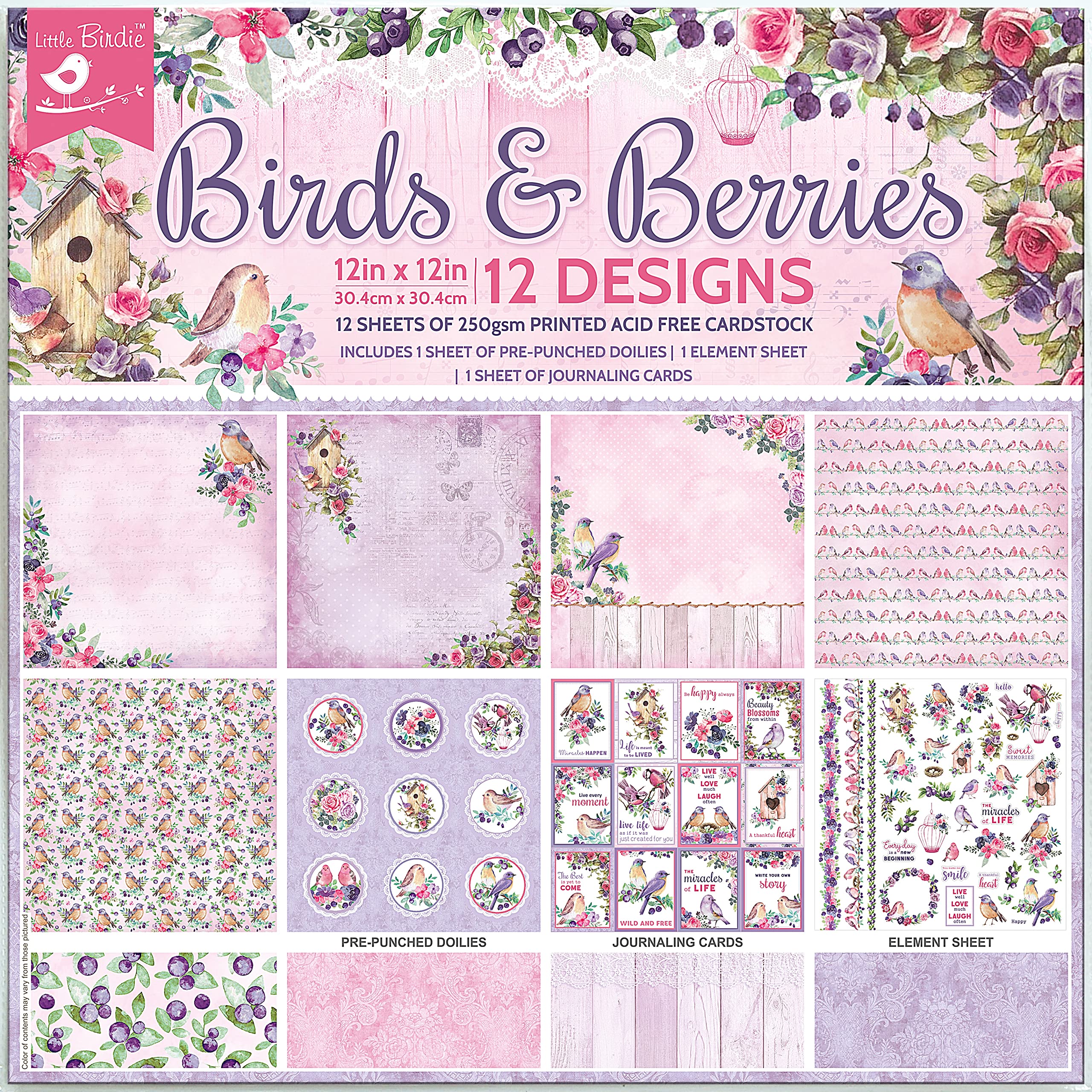 Little Birdie Cardstock Pack TSF6 12"X12" 12/Pkg-Birds and Berries ...