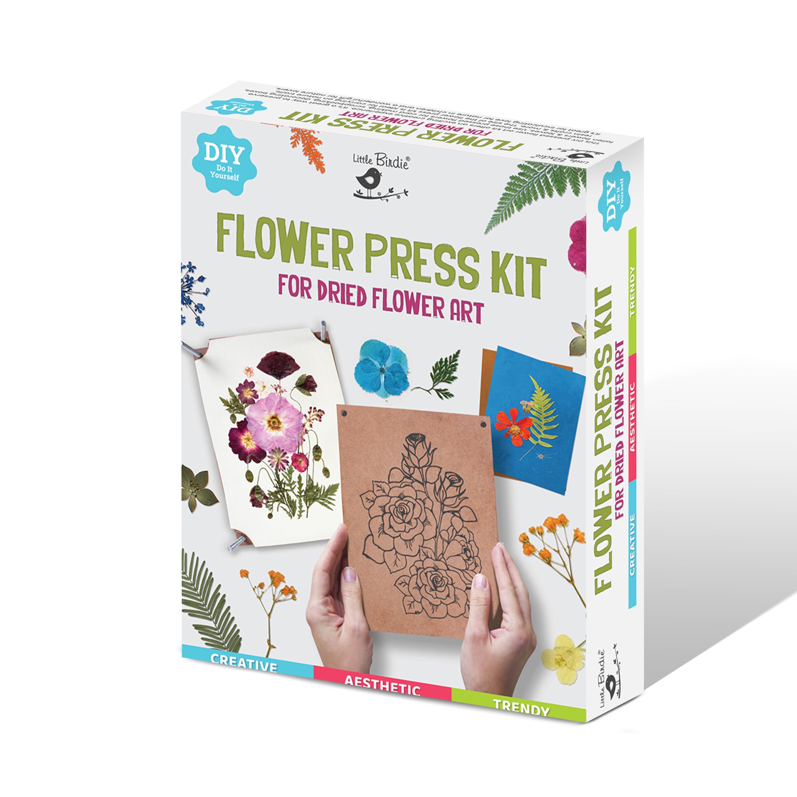 Little Birdie Diy Pressed Flower Art Kit 1 Box| Art & Craft, Creative, Fun & Activity Diy ...