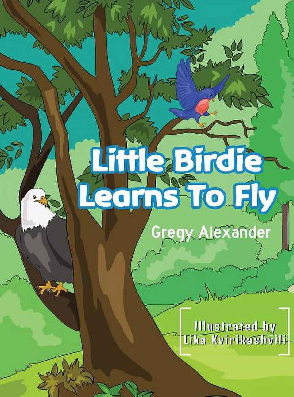 Little Birdie learns to fly (Hardcover) - Walmart.com
