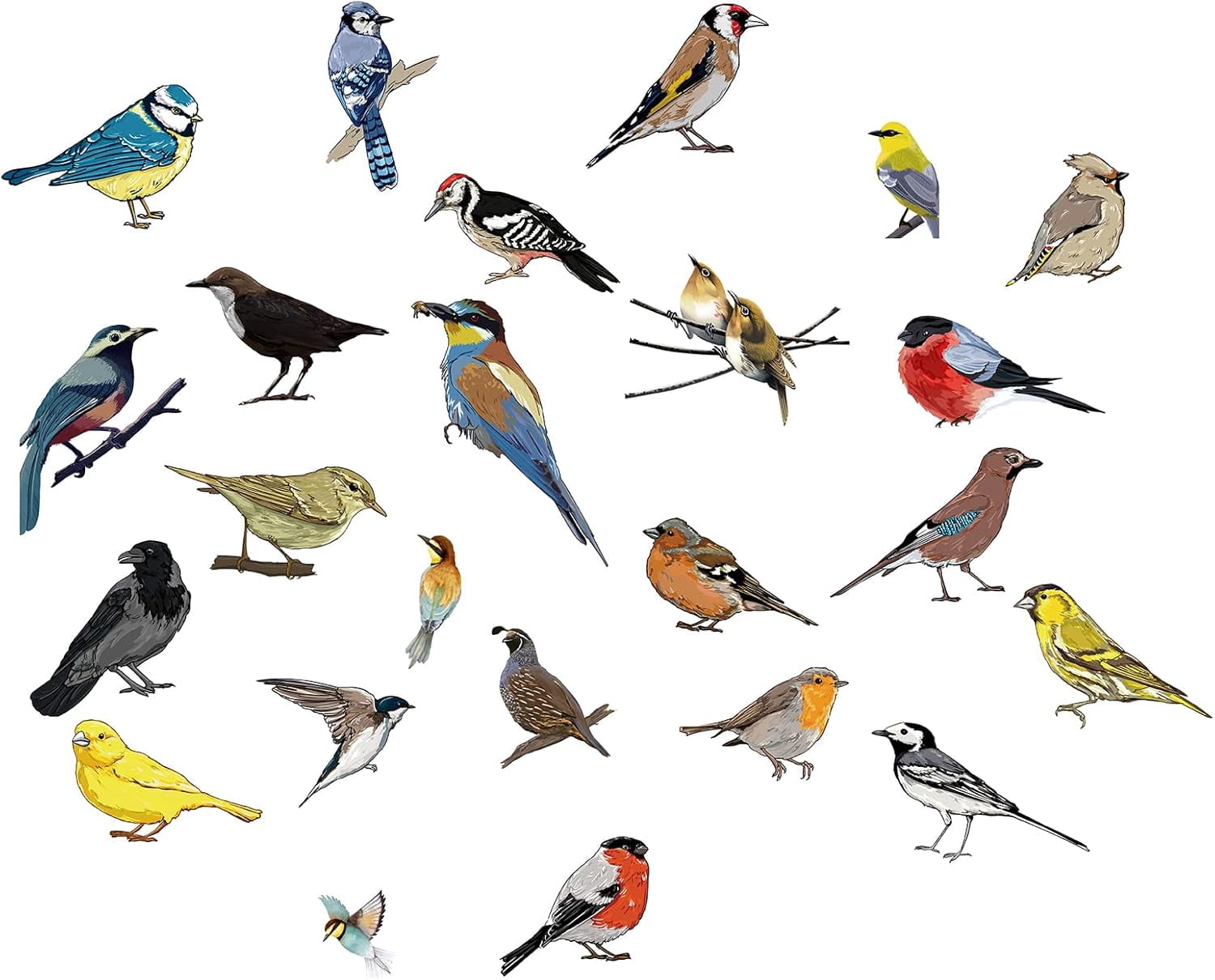Little Birds Vinyl Wall Decals Watercolor Birds Wall Stickers Self ...