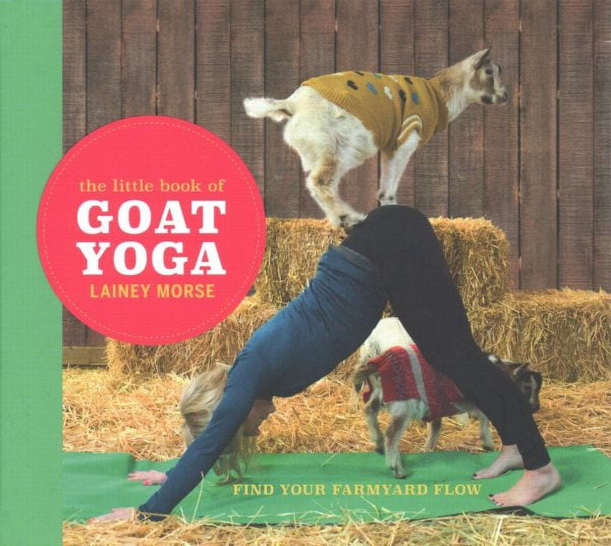 Little Book of Goat Yoga : Find Your Farmyard Flow - Walmart.com
