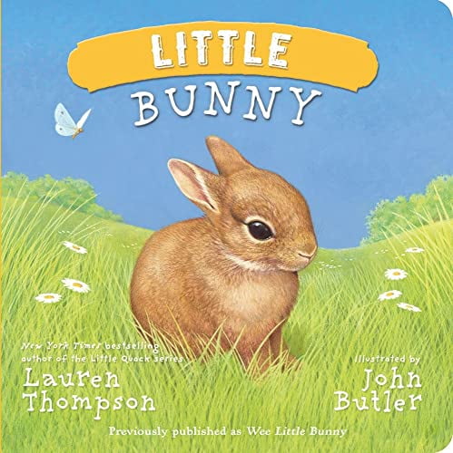 Pre-Owned Little Bunny (Board book) 1442458518 9781442458512 - Walmart.com