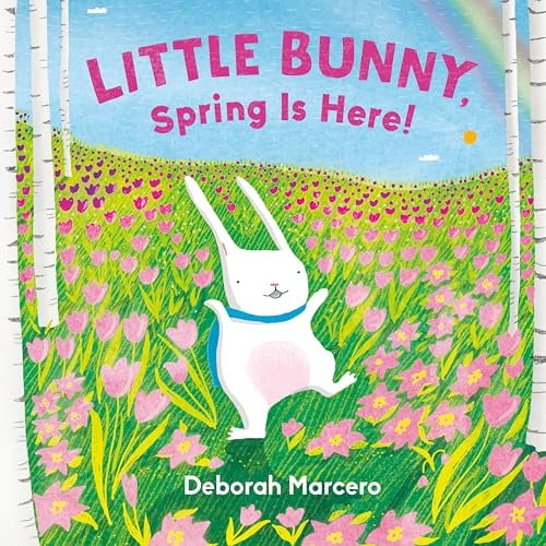 Pre-Owned Little Bunny, Spring Is Here! (Board book) 0593698967 ...
