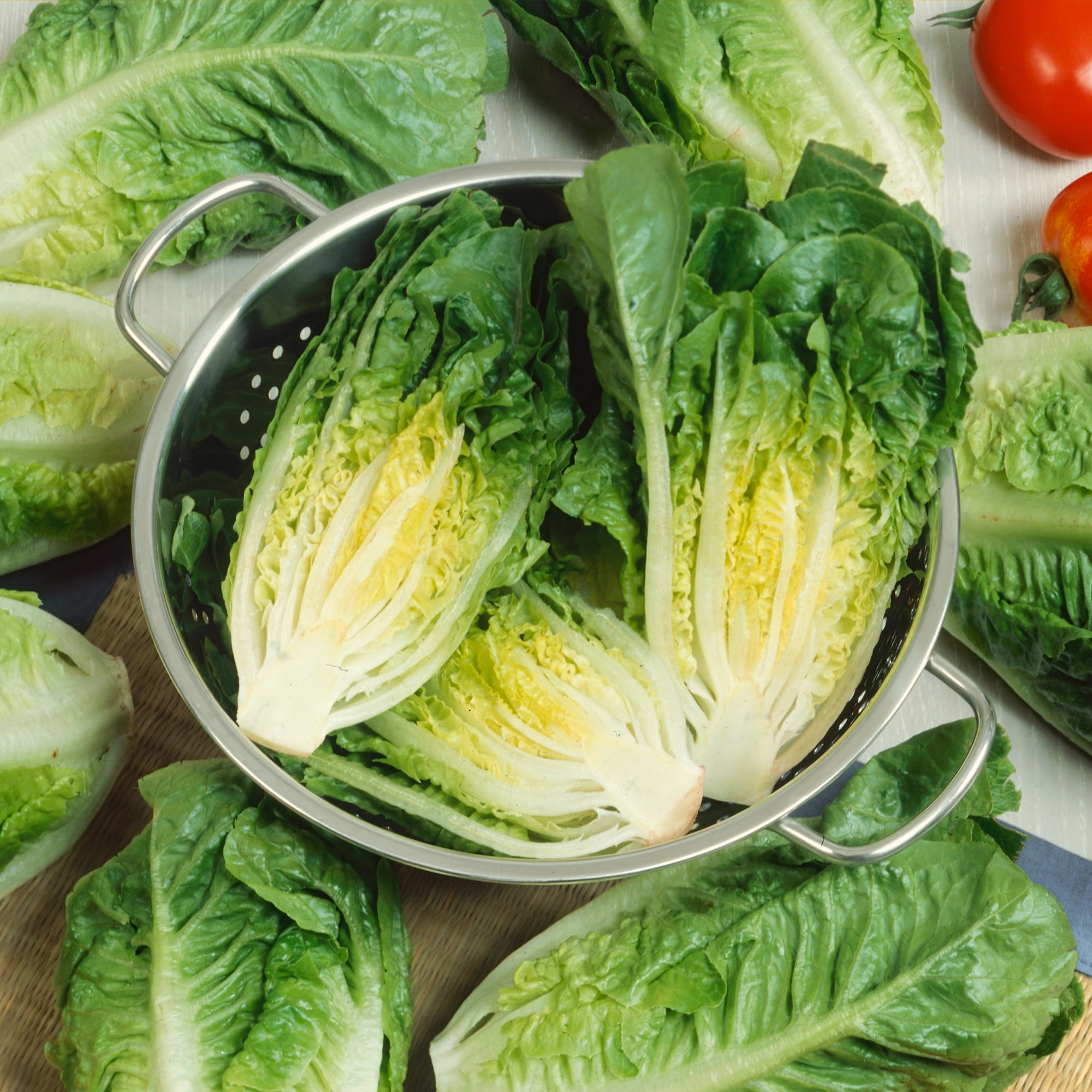 Little Caesar Romaine Lettuce Seeds - 5 Lb Bulk ~2000000 Seeds - Non ...