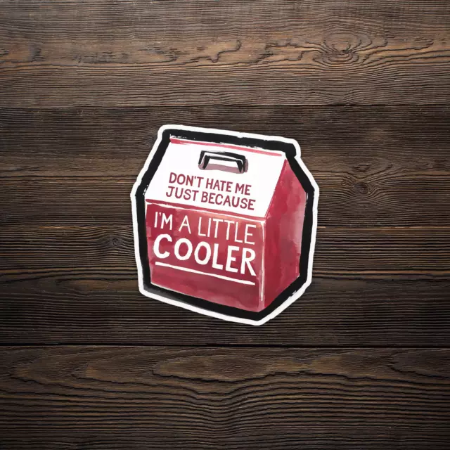 I'M A Little Cooler Sticker Sassy Quote Vinyl Decal For Laptops ...