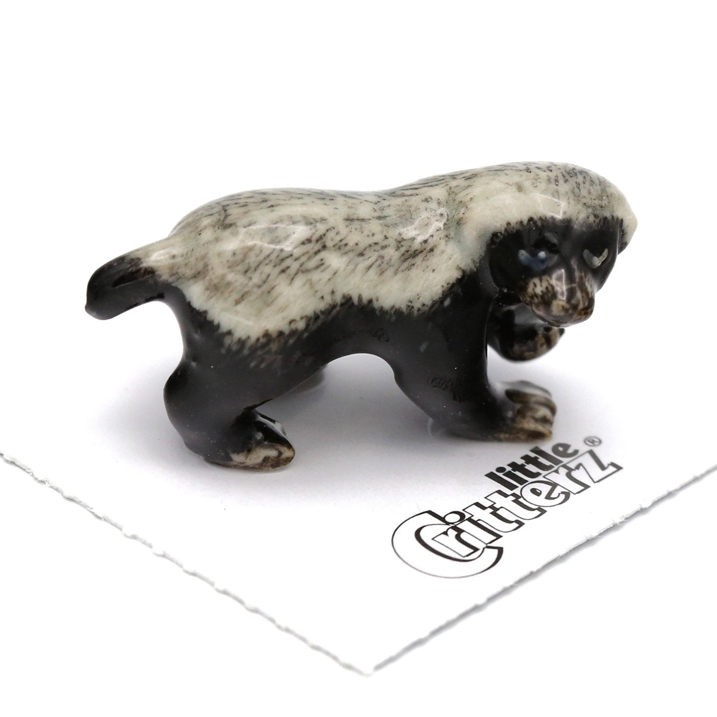 Little Critterz Black Honey Badger "No Fear" Hand-painted - Home Decor ...