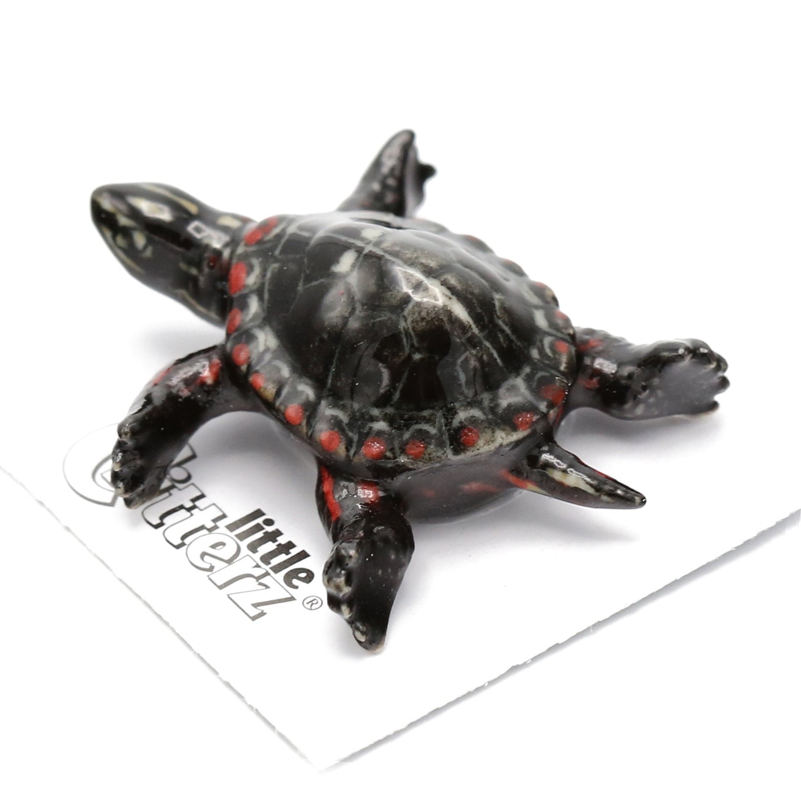 Little Critterz Black Turtle Painted "Raphael" - Hand-painted Home ...