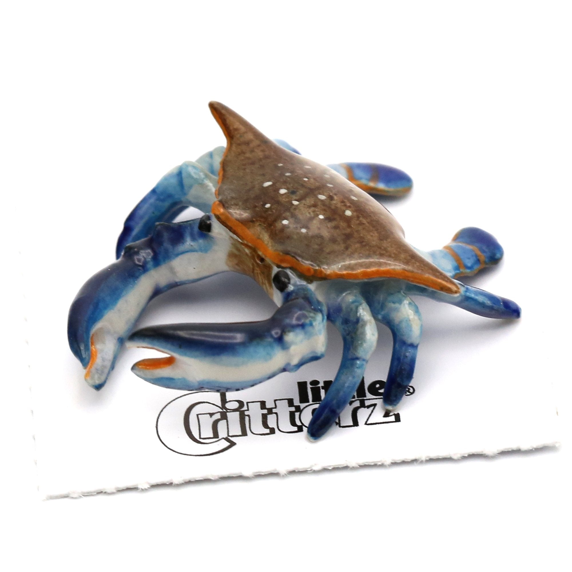 Little Critterz Blue Crab Calli Reptile - Hand-painted Home Decor ...