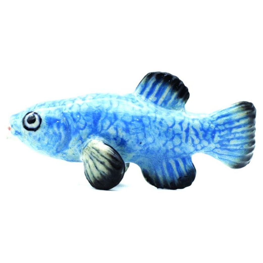 Little Critterz Blue Hole Pupfish Reptile - Home Decor Reptile ...