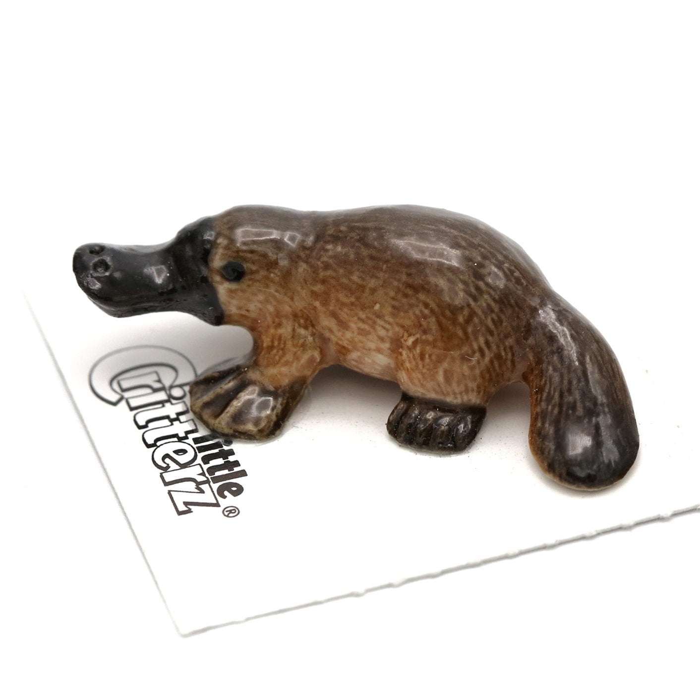 Little Critterz Brown Platypus Egg-laying Mammals "Australia" - Hand ...