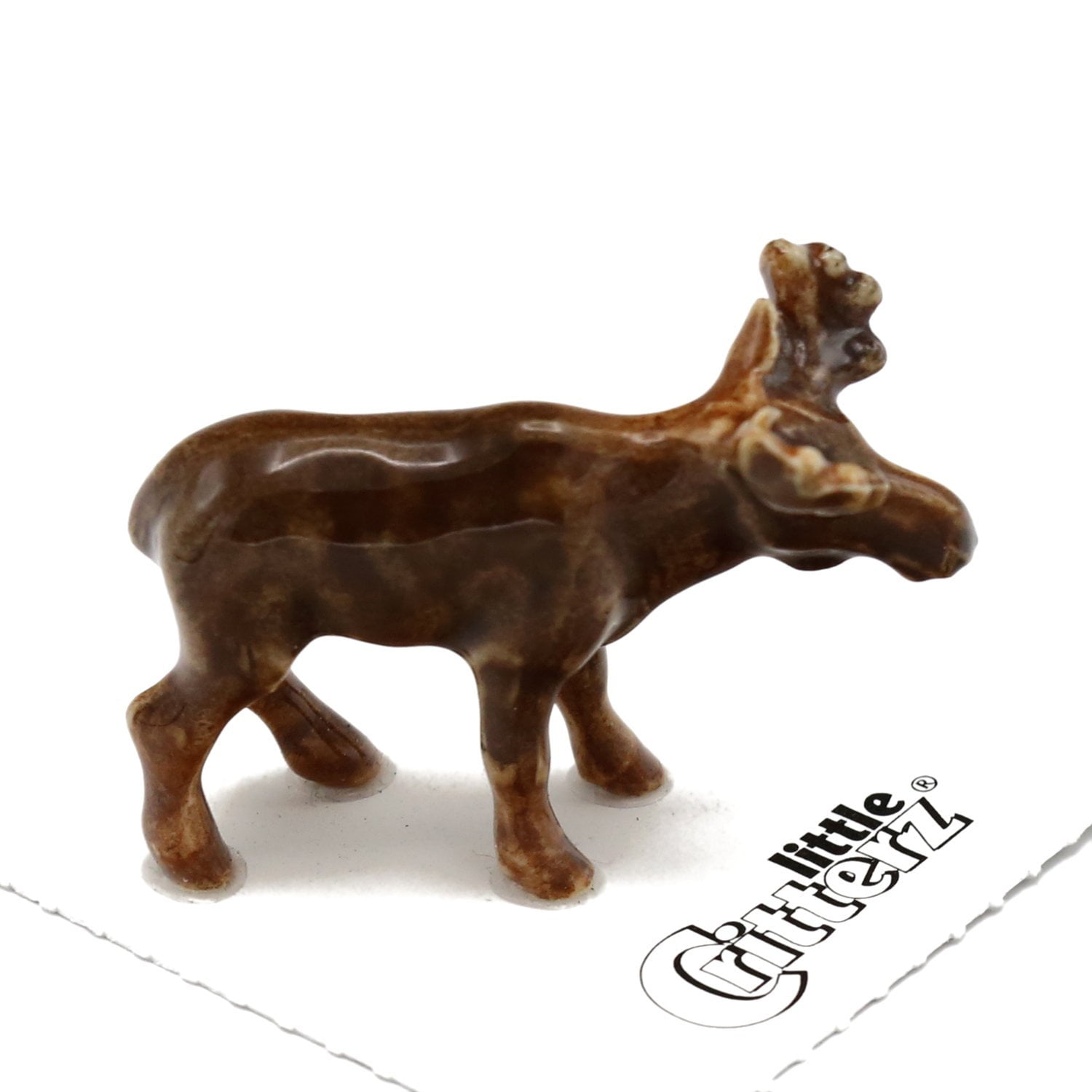 Little Critterz Brown Young Moose "Nomad" Hand-painted - Home Decor ...