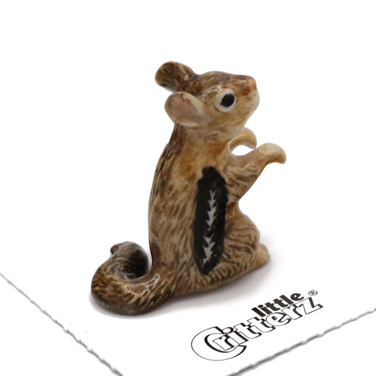 Little Critterz Chipmunk "Chipper" Hand-painted - Home Decor Reptile ...