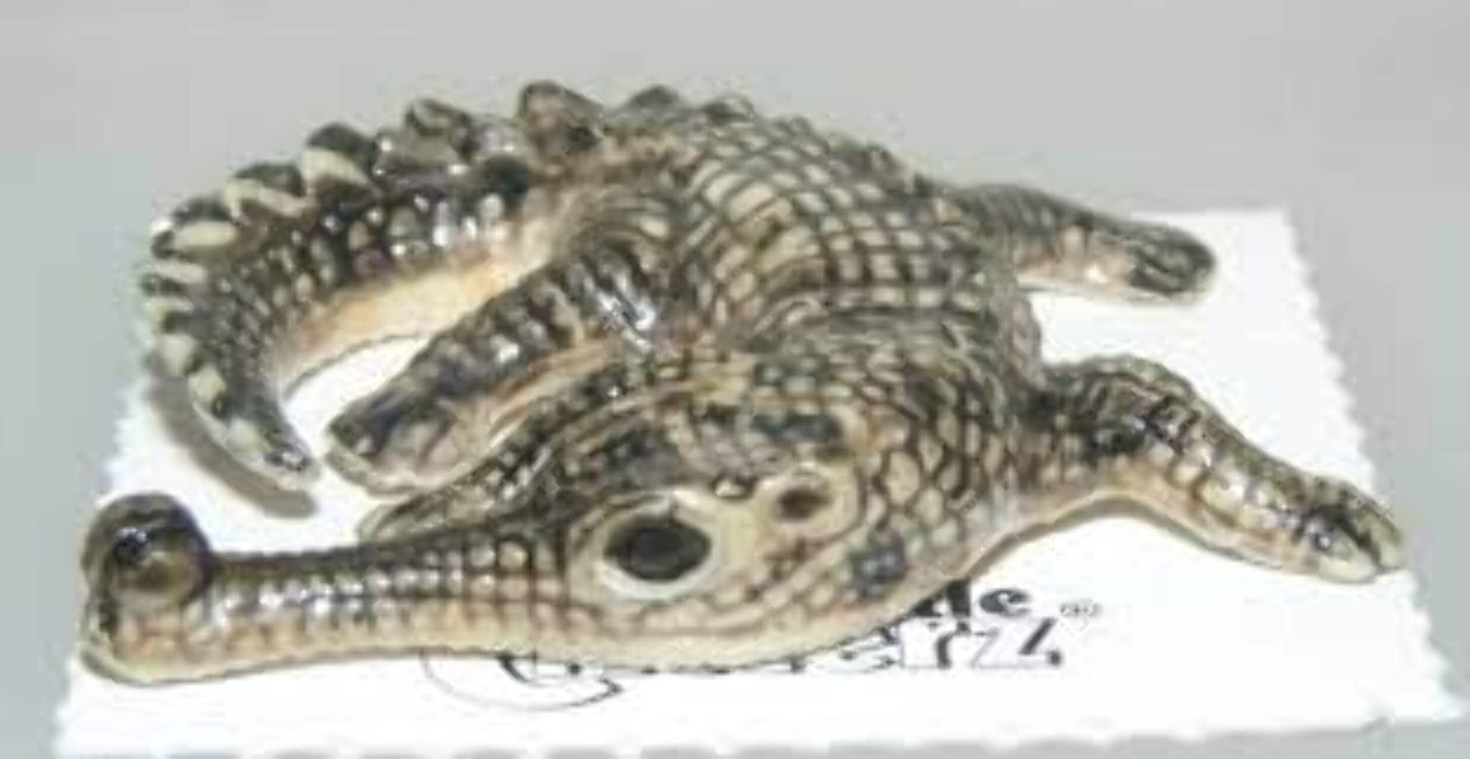 Little Critterz Crocodile Gharial "Boss" Reptile - Hand-painted Home ...