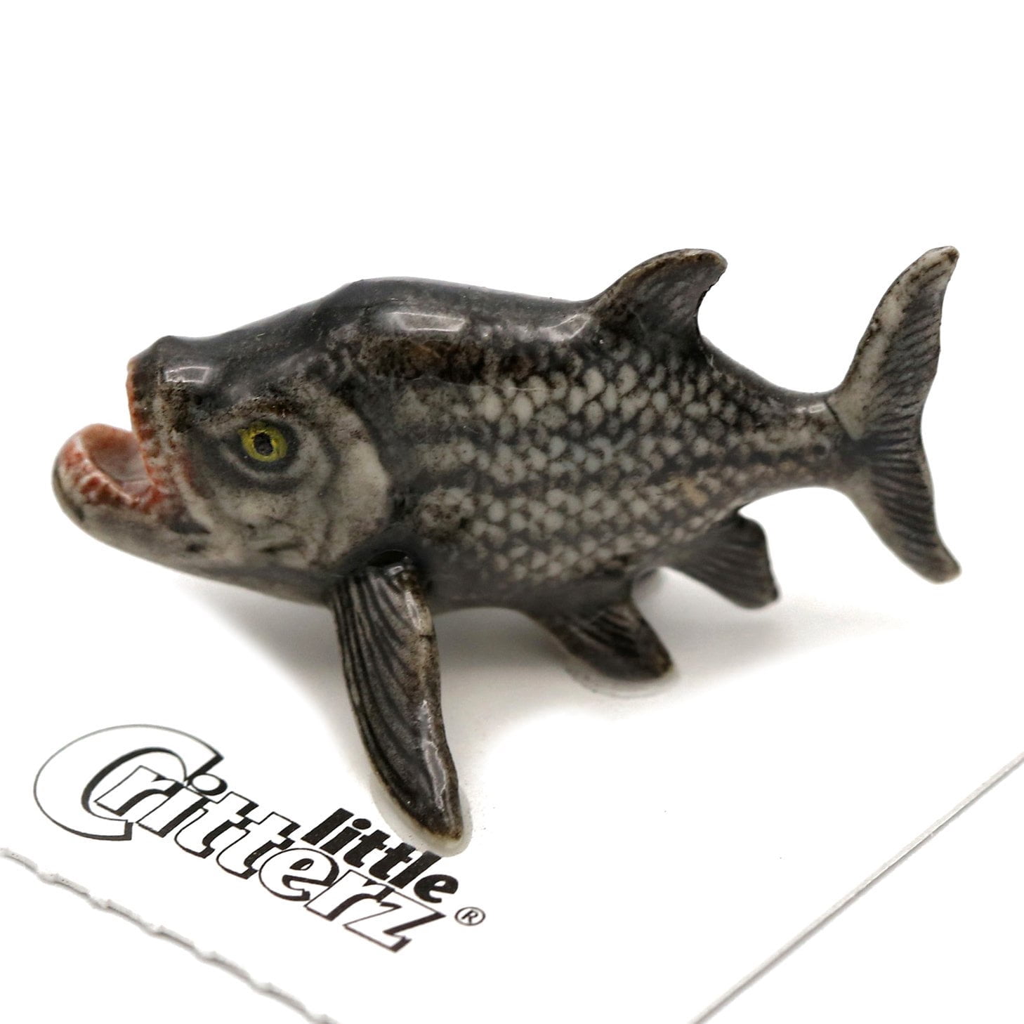 Little Critterz Black Prehistoric Marine - Fish Xiphactinus "Bulldog ...