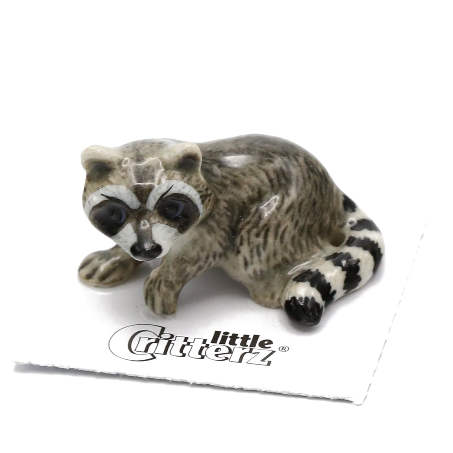 Little Critterz Raccoon "Bandit" Hand-painted - Home Decor Animal ...