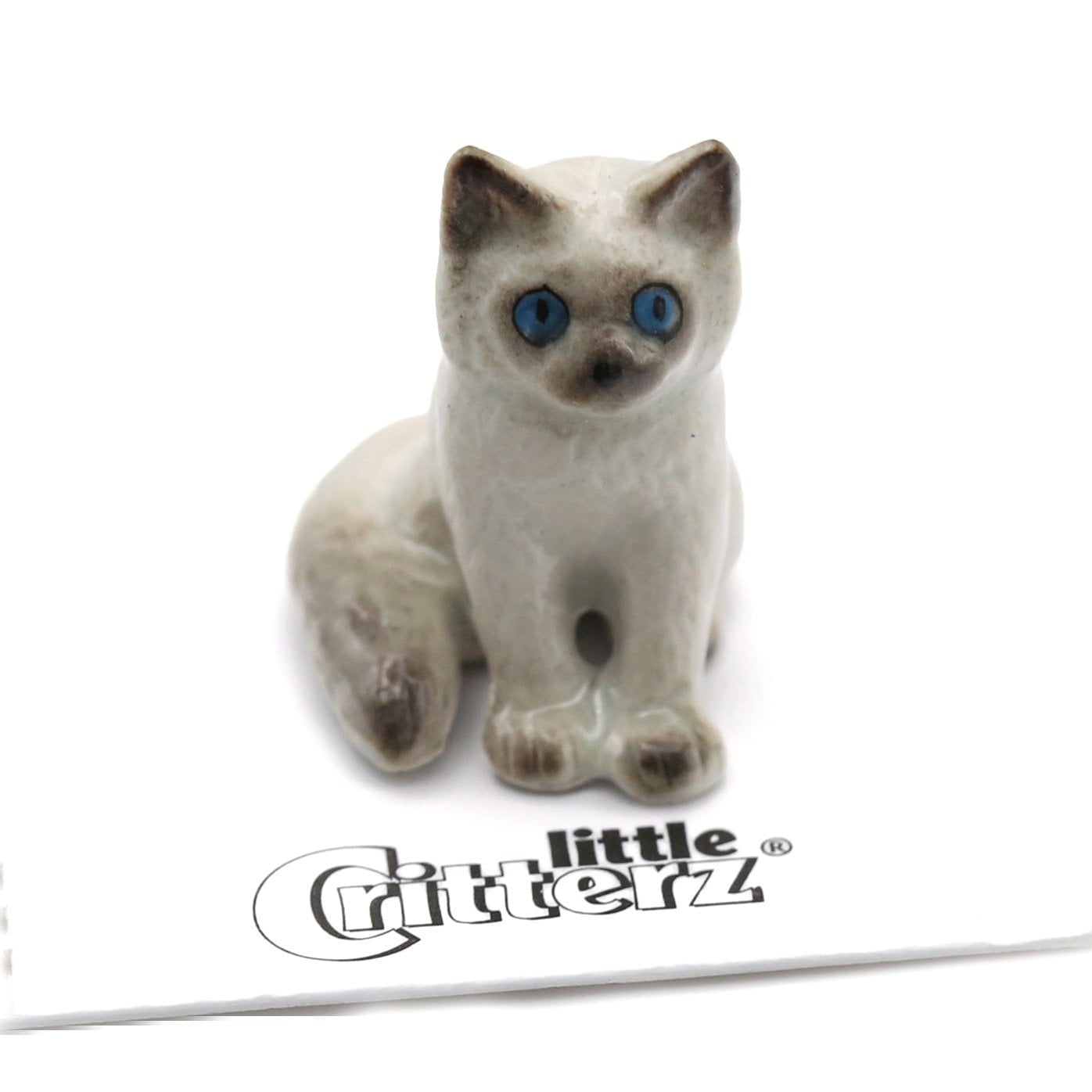 Little Critterz Ragdoll Cat Kitten "Samantha" Hand-painted - Home Decor ...