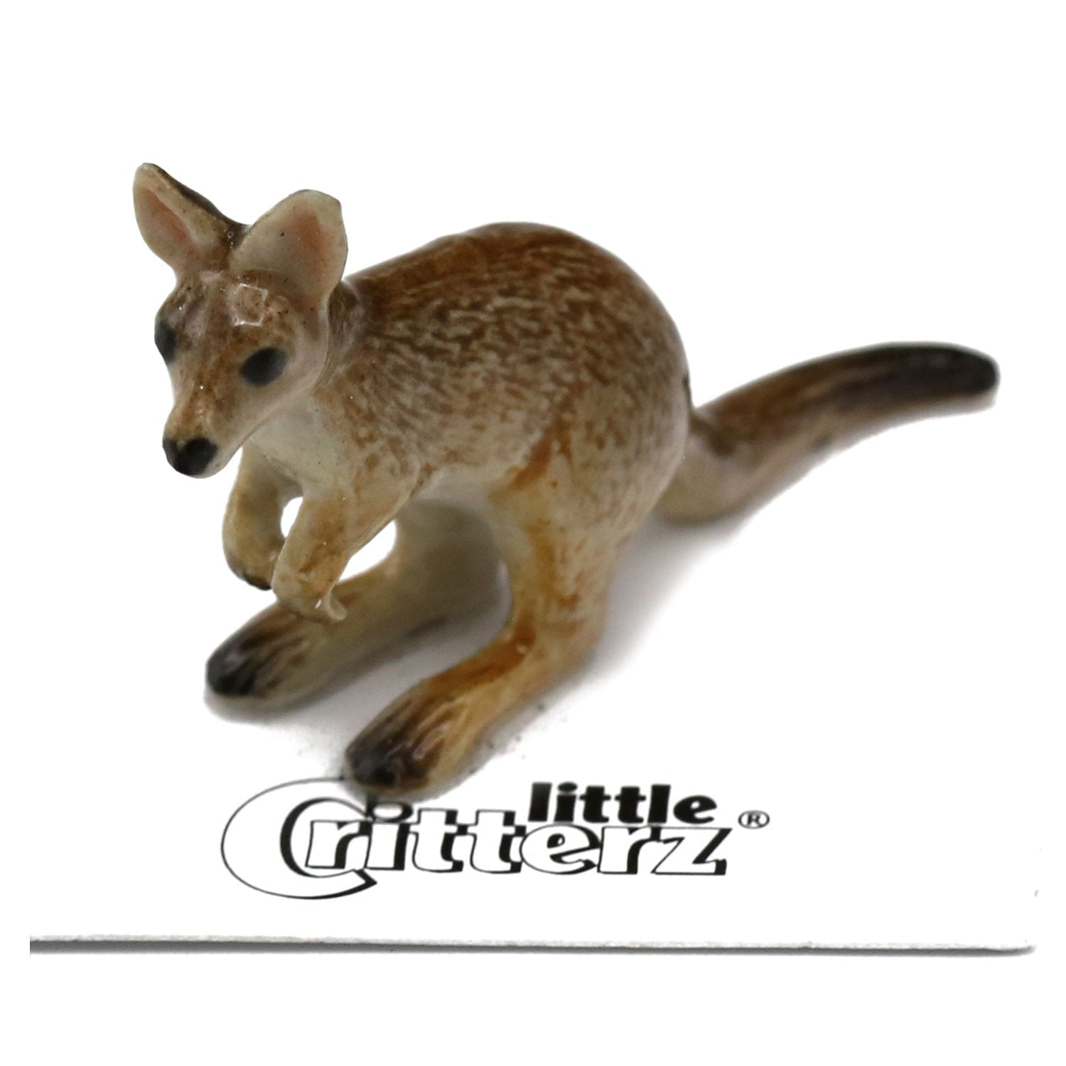 Little Critterz Wallaby"Rocko" Animal Hand-painted - Home Decor Animal ...