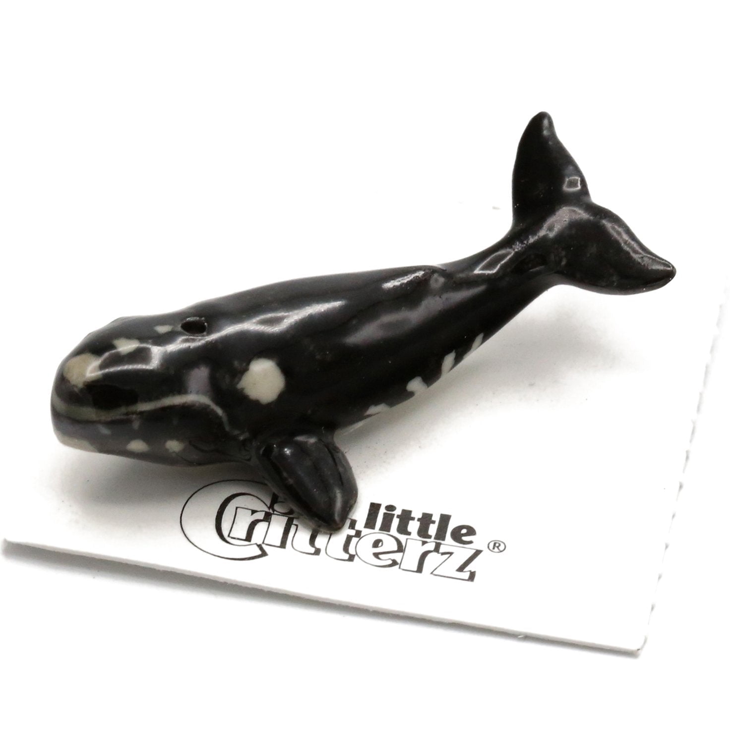 Little Critterz Right Whale "Wart" Handcrafted - Home Decor Reptile ...