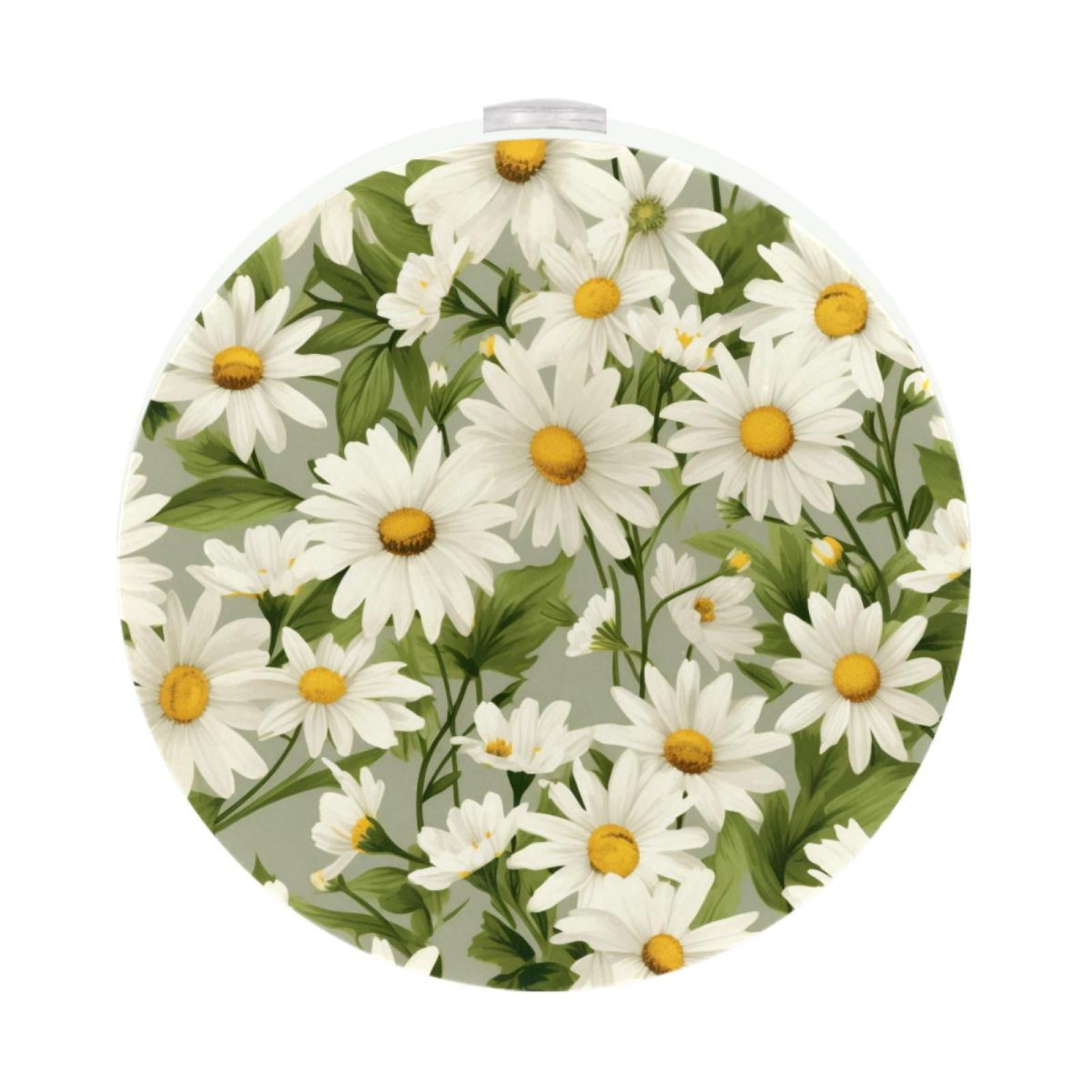 Little Daisy Small LED Night Light - 2 Pack Wall Lights for Room with ...