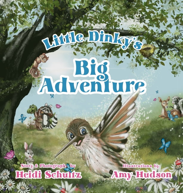 Little Dinky's Big Adventure (Hardcover) - Walmart.com
