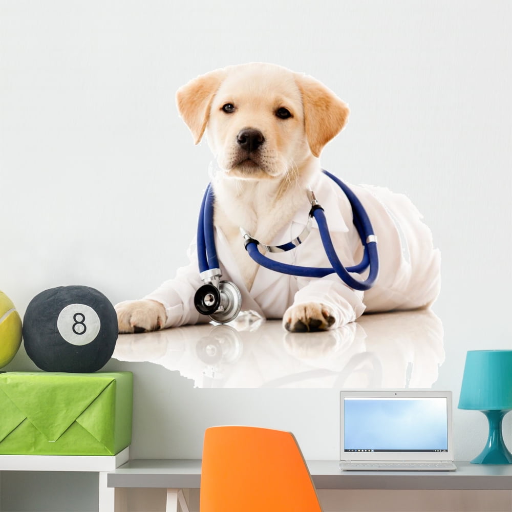 Little Dog as Vet Wall Decal by Wallmonkeys Peel and Stick Graphic (36 ...