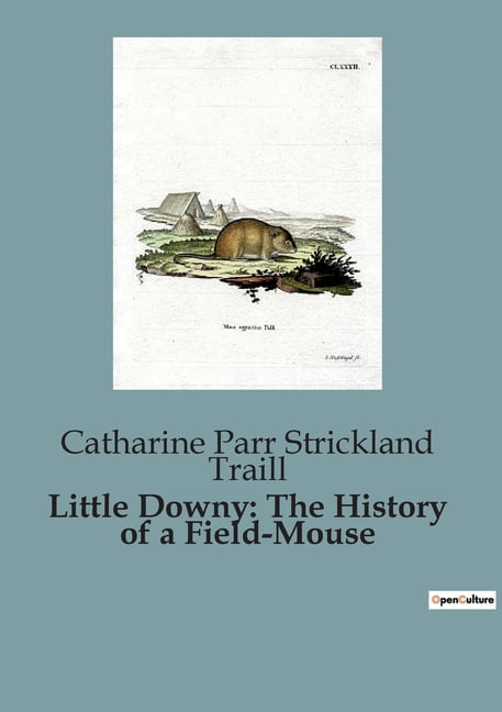 Little Downy: The History of a Field-Mouse - Walmart.com