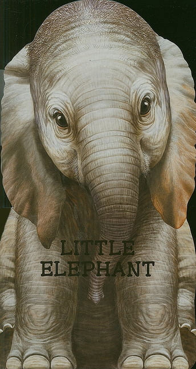 Little Elephant (Board Book) - Walmart.com